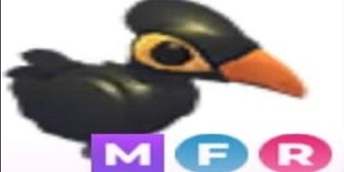 Buy Pet MALEO BIRD MFR - ADOPT ME Adopt Me Roblox Trading Hub 2851187 ...