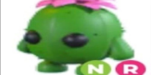 Beli Pet CACTUS FRIEND NR - ADOPT ME Adopt Me Roblox Trading Hub ...