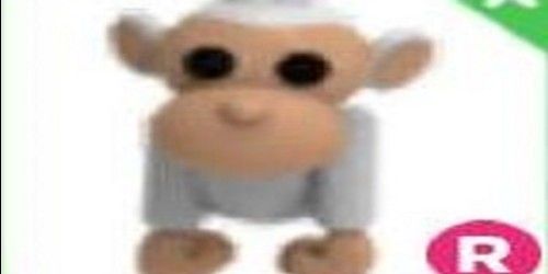 Buy Pet ALBINO MONKEY R - ADOPT ME Adopt Me Roblox Trading Hub 2851984 ...