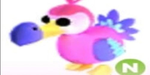 Buy Pet DODO N - ADOPT ME Adopt Me Roblox Trading Hub 2851417 | itemku