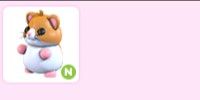 Buy Pet Neon Hamsters Adopt Me Adopt Me Trading Hub 2886012 | itemku