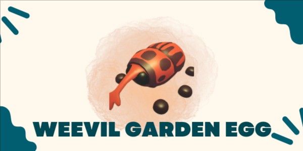 Buy Pet WEEVIL NORMAL - ADOPT ME Adopt Me Roblox Trading Hub 2887163 ...