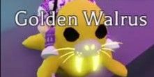 Buy Pet NFR Golden Walrus Adopt Me Trading Hub 2888349 | itemku
