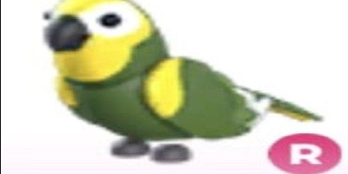 Beli Pet GREEN AMAZON R - ADOPT ME Adopt Me Roblox Trading Hub ...