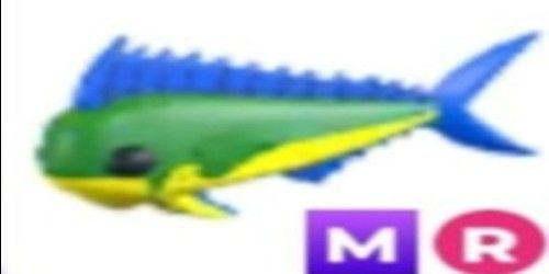Beli Pet MAHI MAHI MR - ADOPT ME Adopt Me Roblox Trading Hub Terlengkap ...