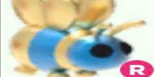 Buy Pet QUEEN BEE R - ADOPT ME Adopt Me Trading Hub 2891566 | itemku