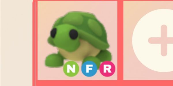 Beli Pet NFR Turtle Adopt Me Roblox Trading Hub Terlengkap dan Termurah Agustus 2024 2894942 ...
