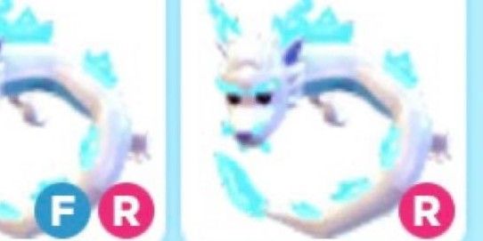 Beli Pet Frost Fury (Ride) Full Grown - Adopt me Adopt Me Roblox ...