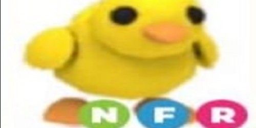 Buy Pet CHICK NFR - ADOPT ME Adopt Me Trading Hub 2895544 | itemku