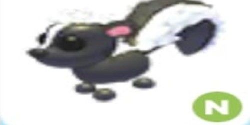Beli Pet SKUNK N - ADOPT ME Adopt Me Roblox Trading Hub Terlengkap dan ...