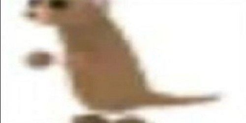 Buy Pet MEERKAT - ADOPT ME Adopt Me Roblox Trading Hub 2895512 | itemku