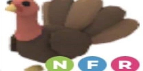 Buy Pet TURKEY NFR - ADOPT ME Adopt Me Roblox Trading Hub 2895478 | itemku