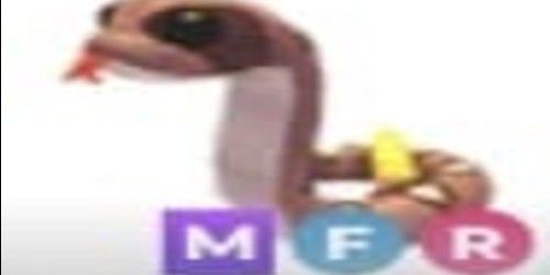 Buy Pet RATTLESNAKE MFR - ADOPT ME Adopt Me Roblox Trading Hub 2895620 ...