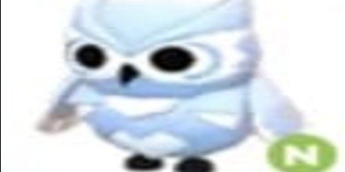 Buy Pet SNOW OWL N - ADOPT ME Adopt Me Roblox Trading Hub 2895769 | itemku