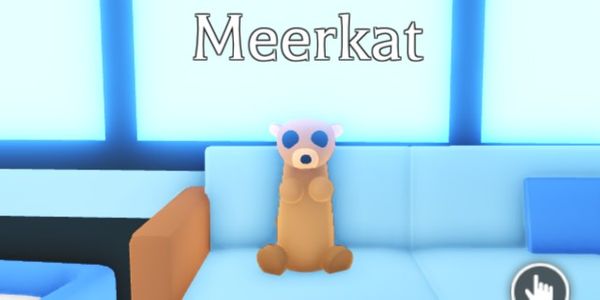 Buy Pet Pensiun! Meerkat | Adopt Me Adopt Me Roblox Trading Hub 2852775 ...