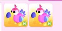 Beli Pet Dodo N Adopt Me Adopt Me Roblox Trading Hub Terlengkap dan ...