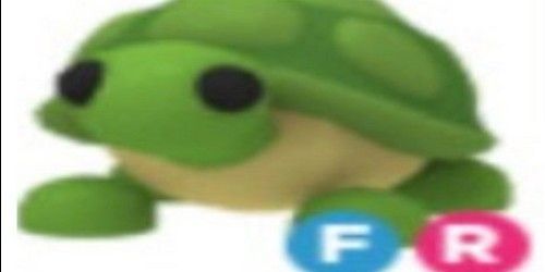Beli Pet TURTLE FR - ADOPT ME Adopt Me Roblox Trading Hub Terlengkap ...
