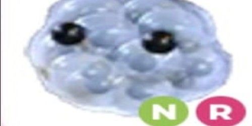 Beli Pet FROGSPAWN NR - ADOPT ME Adopt Me Roblox Trading Hub Terlengkap ...