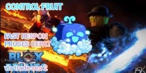 Buy Fruit Control fruit Blox Fruits Roblox 2625215 | itemku