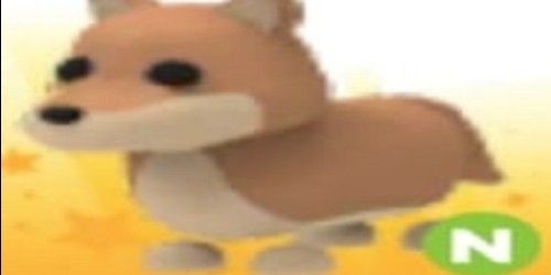 Buy Pet DINGO N - ADOPT ME Adopt Me Roblox Trading Hub 2854393 | itemku