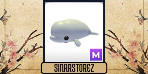 Beli Pet Mega Beluga Whale Adopt Me Roblox Trading Hub Terlengkap dan ...
