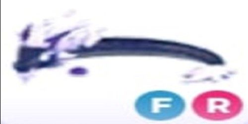 Beli Pet MIDNIGHT DRAGON FR - ADOPT ME Adopt Me Roblox Trading Hub ...