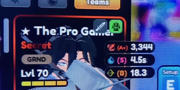 Beli Unit Secret The Pro Gamer | Sung Jin Woo | Stat S S S | Almighty ...