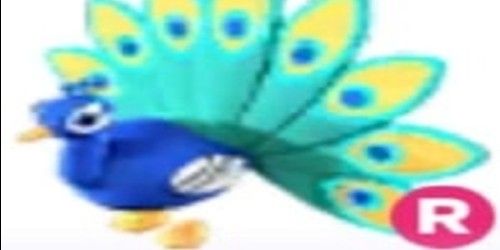 Buy Pet PEACOCK R - ADOPT ME Adopt Me Roblox Trading Hub 2858272 | itemku