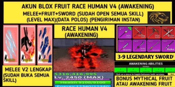 Buy Account Blox fruit Race Human V4 T1 (Awakening) Account (Level Max ...