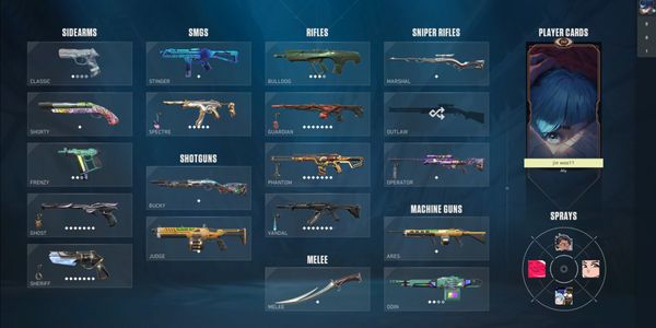 Buy Account VANDAL SENTINELS / PHANTOM GLITCHOP / GAIA'S VENGEANCE ...