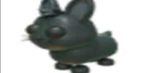 Beli Pet AMAMI RABBIT - ADOPT ME Adopt Me Trading Hub Terlengkap dan ...