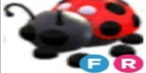 Buy Pet LADYBUG FR - ADOPT ME Adopt Me Roblox Trading Hub 2863933 | itemku