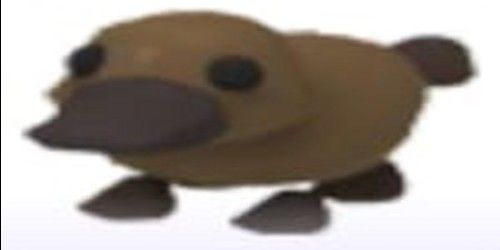 Beli Pet PLATYPUS - ADOPT ME Adopt Me Roblox Trading Hub Terlengkap dan ...
