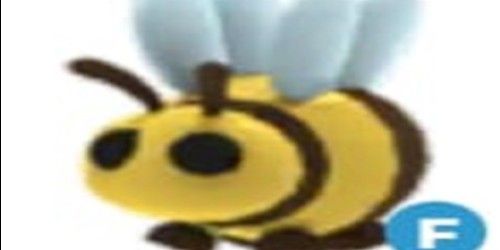 Beli Pet BEE F - ADOPT ME Adopt Me Roblox Trading Hub Terlengkap dan ...