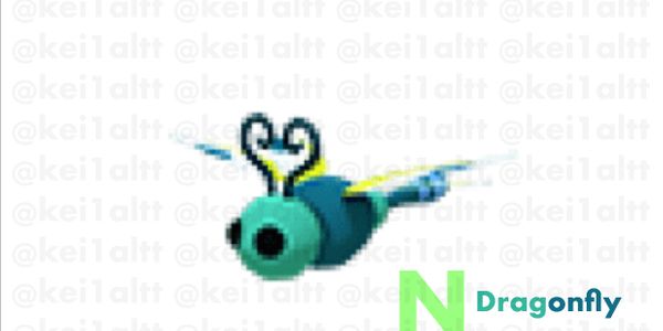 Buy Pet N Dragonfly Adopt Me Trading Hub 2847035 | itemku