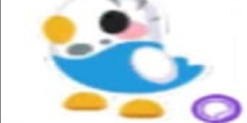 Beli Item PARAKEET STICKER - ADOPT ME Adopt Me Roblox Trading Hub ...