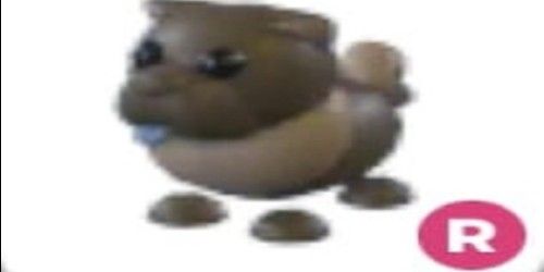 Beli Pet CHOCOLATE CHOW-CHOW R - ADOPT ME Adopt Me Roblox Trading Hub ...