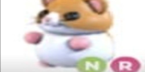 Buy Pet HAMSTER NR - ADOPT ME Adopt Me Roblox Trading Hub 2866242 | itemku