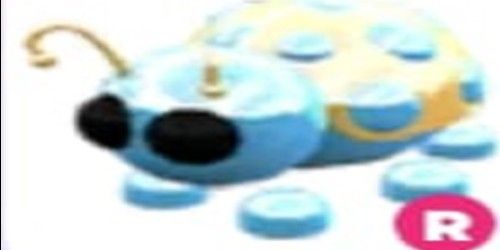 Beli Pet DIAMOND LADYBUG R - ADOPT ME Adopt Me Roblox Trading Hub ...