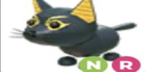 Buy Pet ABYSSINIAN CAT NR - ADOPT ME Adopt Me Roblox Trading Hub ...