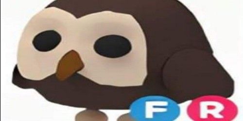 Buy Pet OWL FR - ADOPT ME Adopt Me Trading Hub 2865980 | itemku