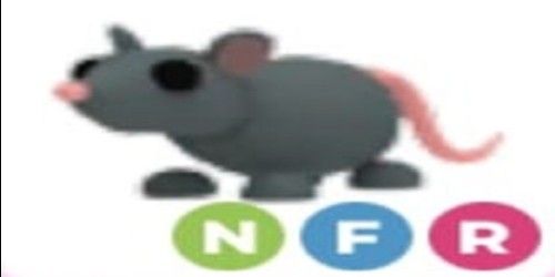 Buy Pet RAT NFR - ADOPT ME Adopt Me Trading Hub 2899325 | itemku