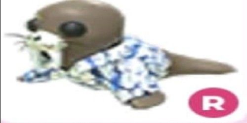 Beli Pet SUMMER WALRUS R - ADOPT ME Adopt Me Roblox Trading Hub ...