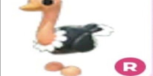 Buy Pet OSTRICH R - ADOPT ME Adopt Me Roblox Trading Hub 2899361 | itemku