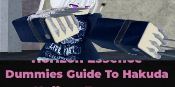 Buy Item Dummies Guide to Hakuda (Hakuda Weapon) | TYPE://SOUL Roblox ...