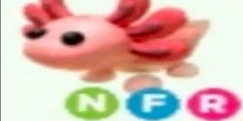 Beli Pet AXOLOTL NFR - ADOPT ME Adopt Me Roblox Trading Hub Terlengkap ...