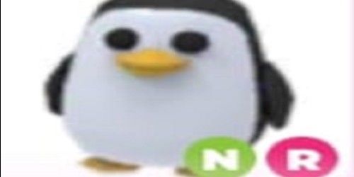 Buy Pet PENGUIN NR - ADOPT ME Adopt Me Roblox Trading Hub 2918760 | itemku
