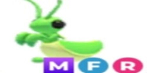 Beli Pet PRAYING MANTIS MFR - ADOPT ME Adopt Me Roblox Trading Hub ...