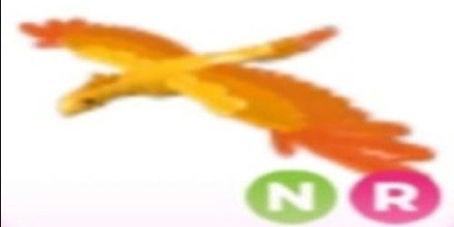 Buy Pet PHOENIX NR - ADOPT ME Adopt Me Roblox Trading Hub 2918453 | itemku