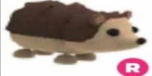 Buy Pet HEDGEHOG R - ADOPT ME Adopt Me Trading Hub 2920352 | itemku